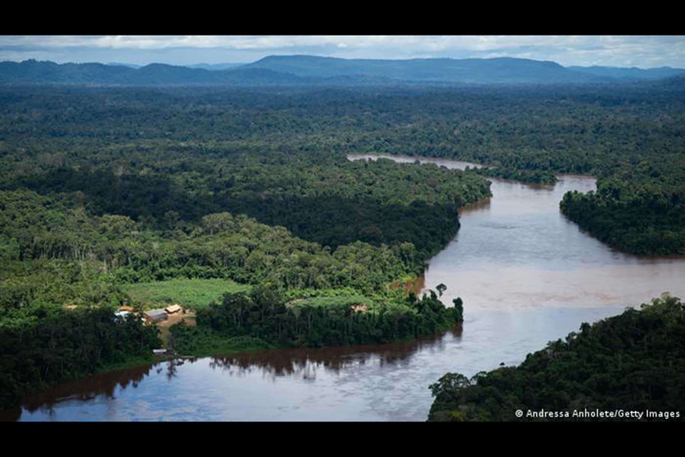 Grandes empresas pedem protagonismo do Brasil em negociações climáticas ...