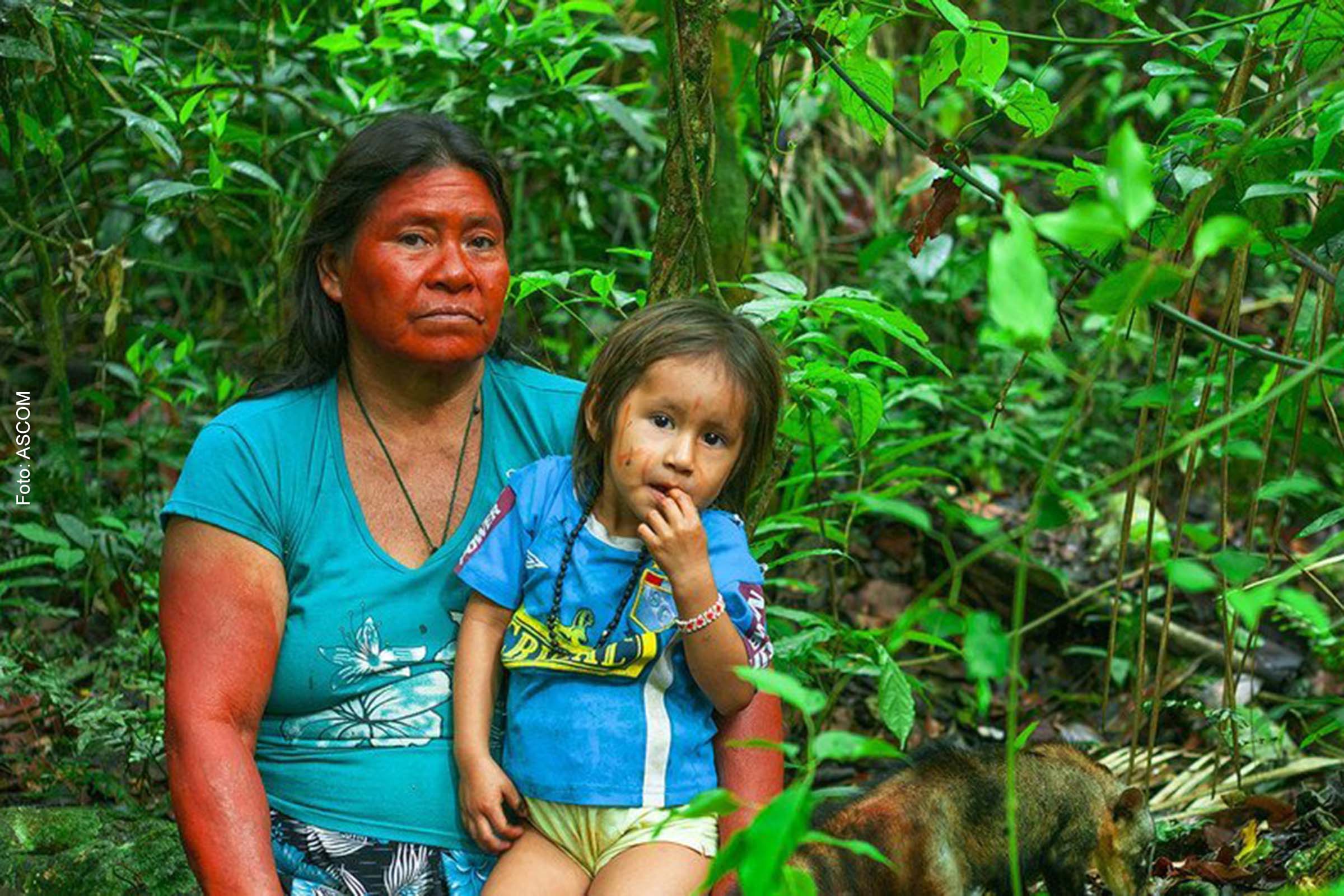 Projeto da ONU busca preservar a floresta amazônica no Maranhão ...